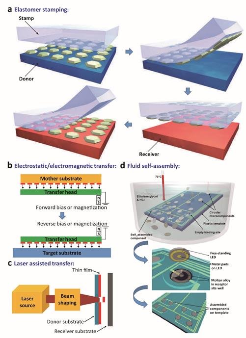 Light综述：Micro-LED与量子点显示技术 - 行家说